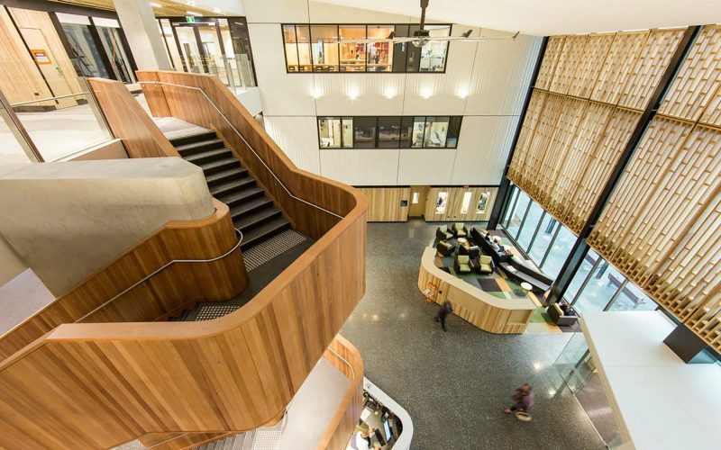 Burwood Hospital | icon